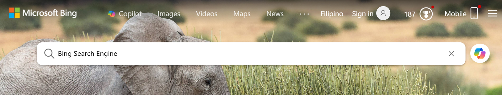 Bing Search Engine is Getting Better: A Closer Look at Its Evolution ...
