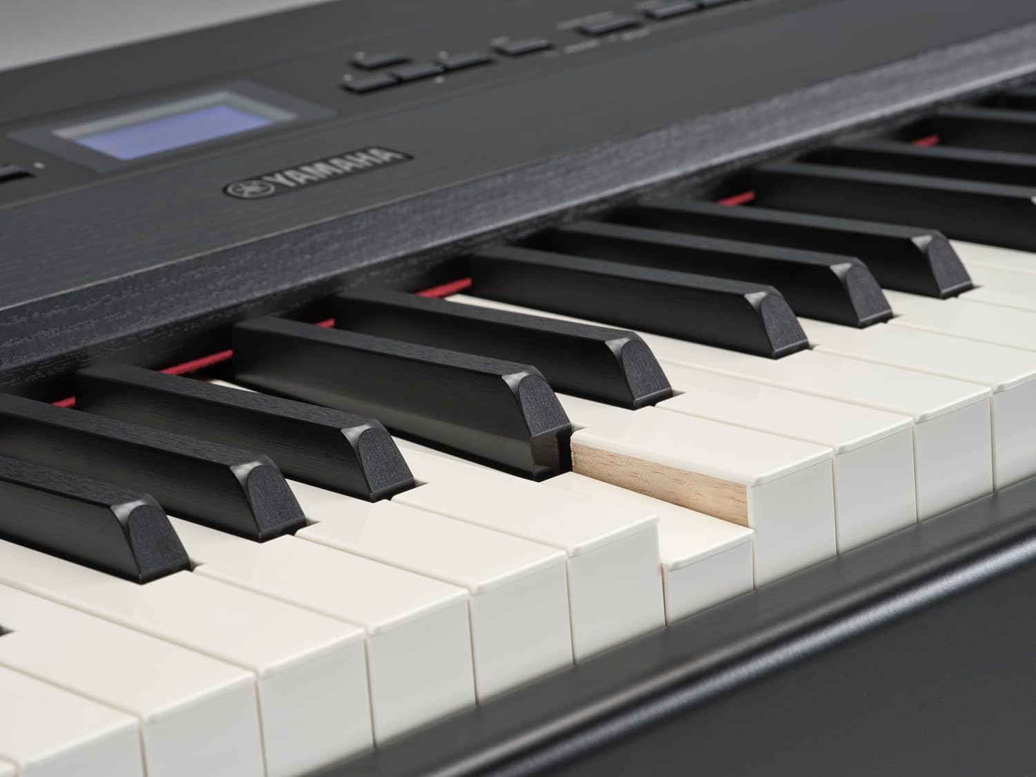 5 Best Digital Keyboards for Musicians in (2025) 2026 | Rank1one