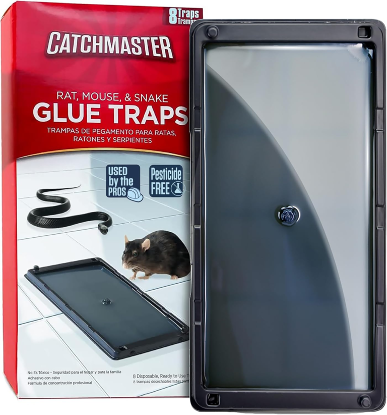 The 5 Best Mouse Traps 2026 | Rank1one