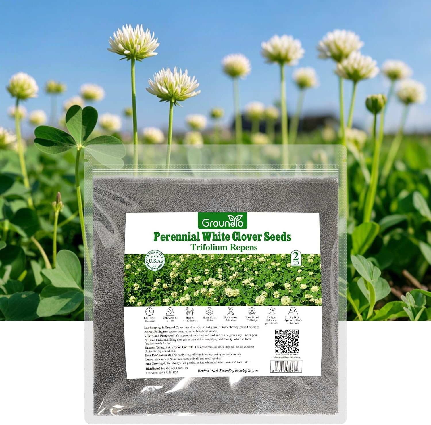 The 5 Best Clover Seeds 2026 | Rank1one