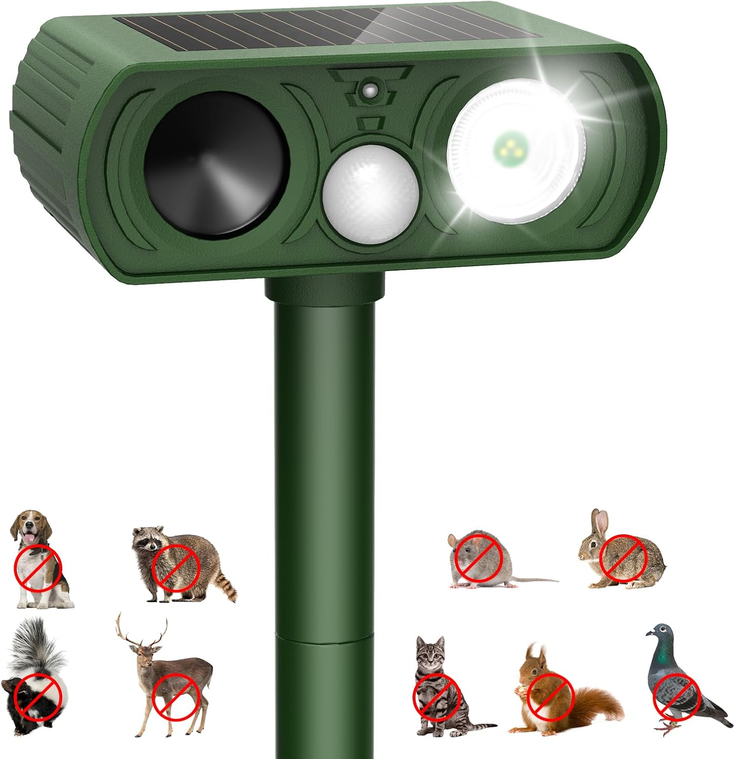 The 5 Best Birds Repellents: Guide to Keeping Unwanted Birds Away 2026 ...